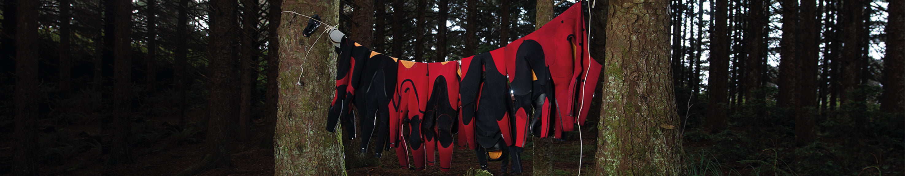 Womens Wetsuits – Nineplus Inc