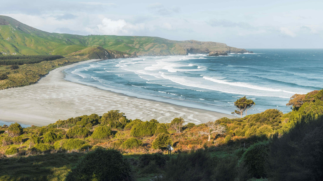 Nineplus USA – Nineplus Inc