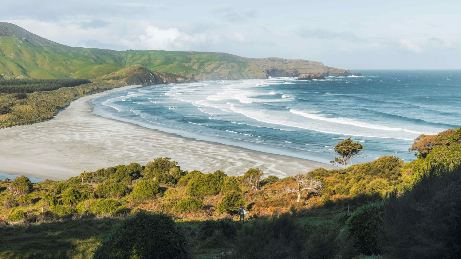 Nineplus USA – Nineplus Inc